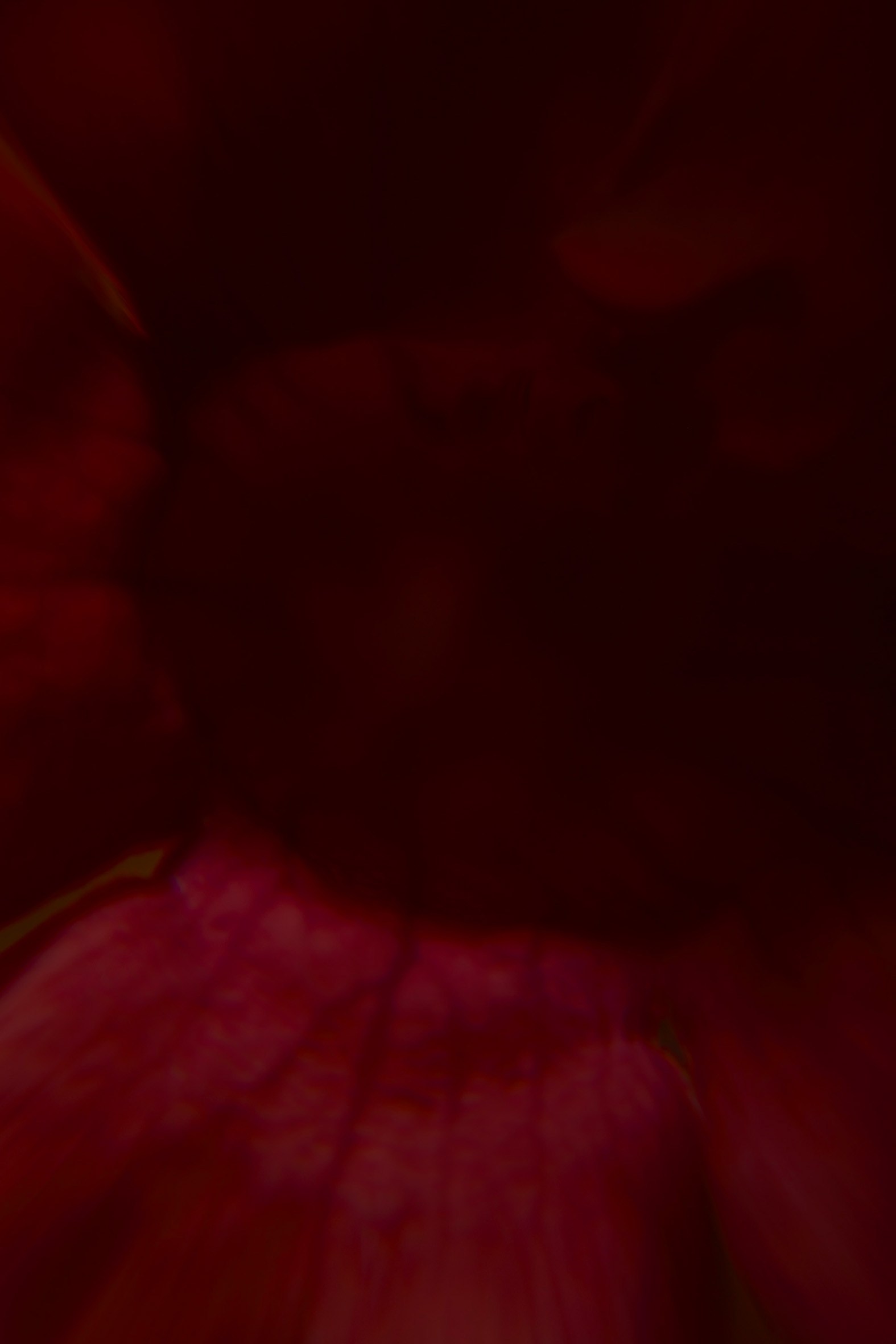 Personal Flor - Martín Sigal